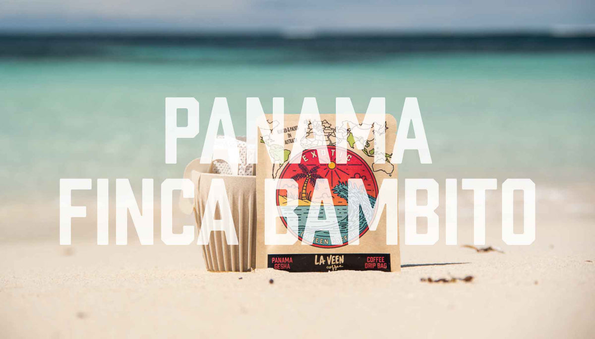 Exotic - Panama F.Bambito Geisha – La Veen Coffee