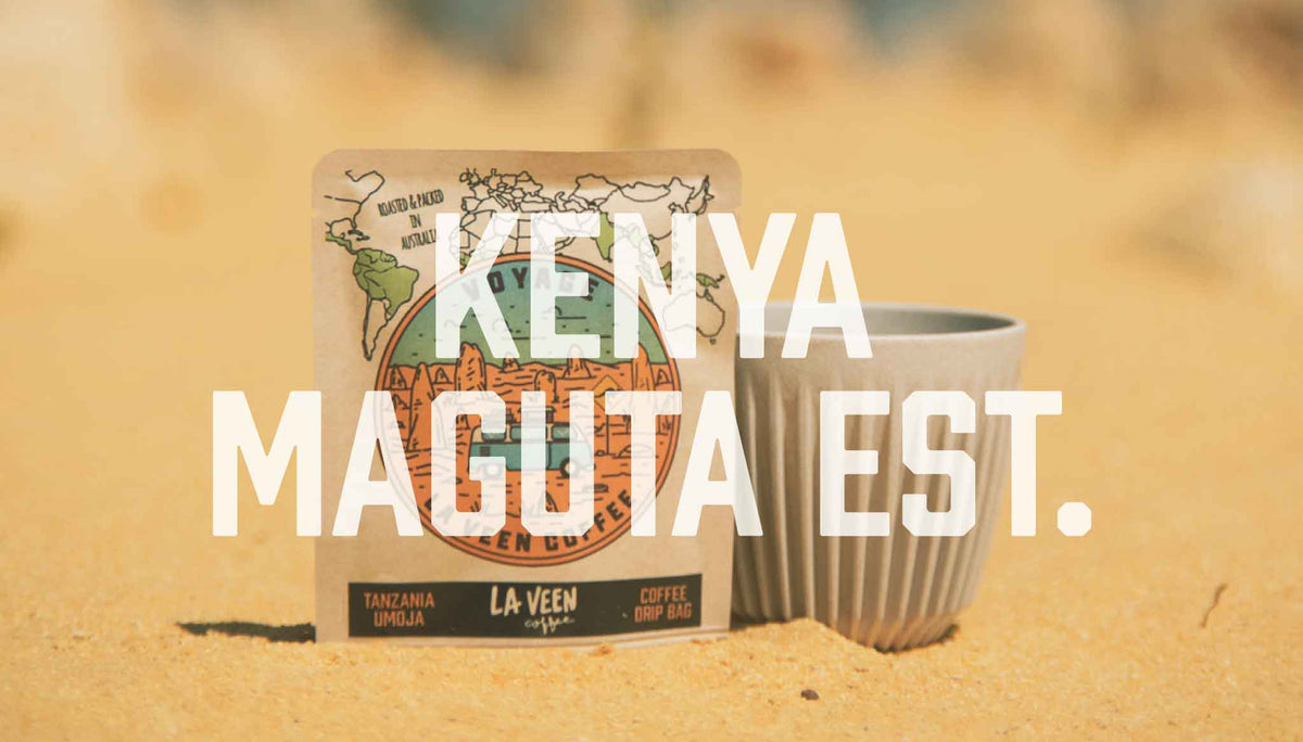 Voyage - Kenya Maguta Est. – La Veen Coffee